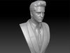 Elvis Presley 3d model The King 3d print bust 3D model 3D printable ...