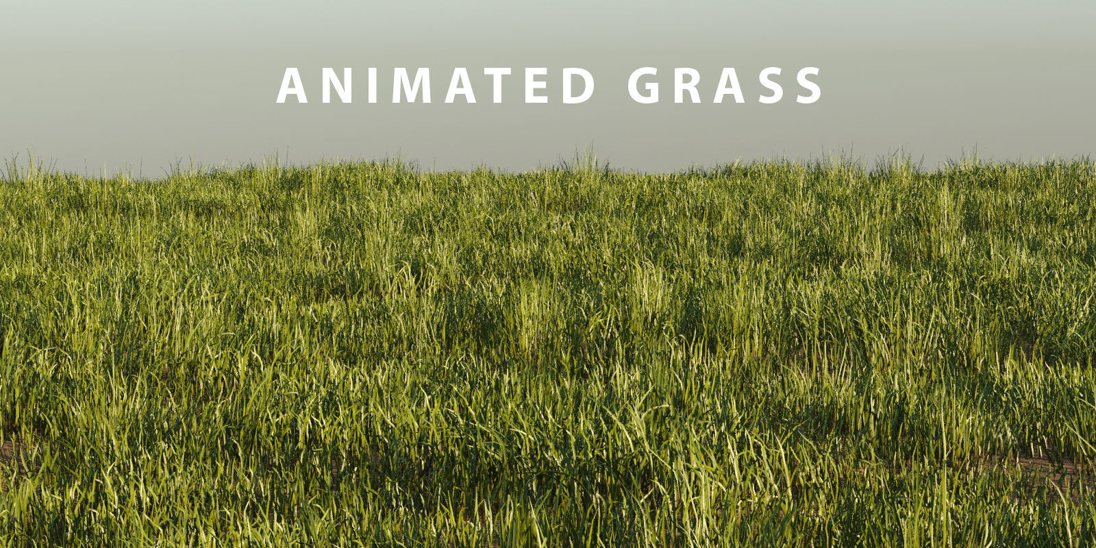 Photorealistic Animated Grass Pack garden 3D | CGTrader
