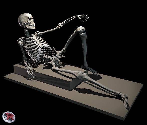 Male and Female Skeleton poseable 3D model 3D printable | CGTrader