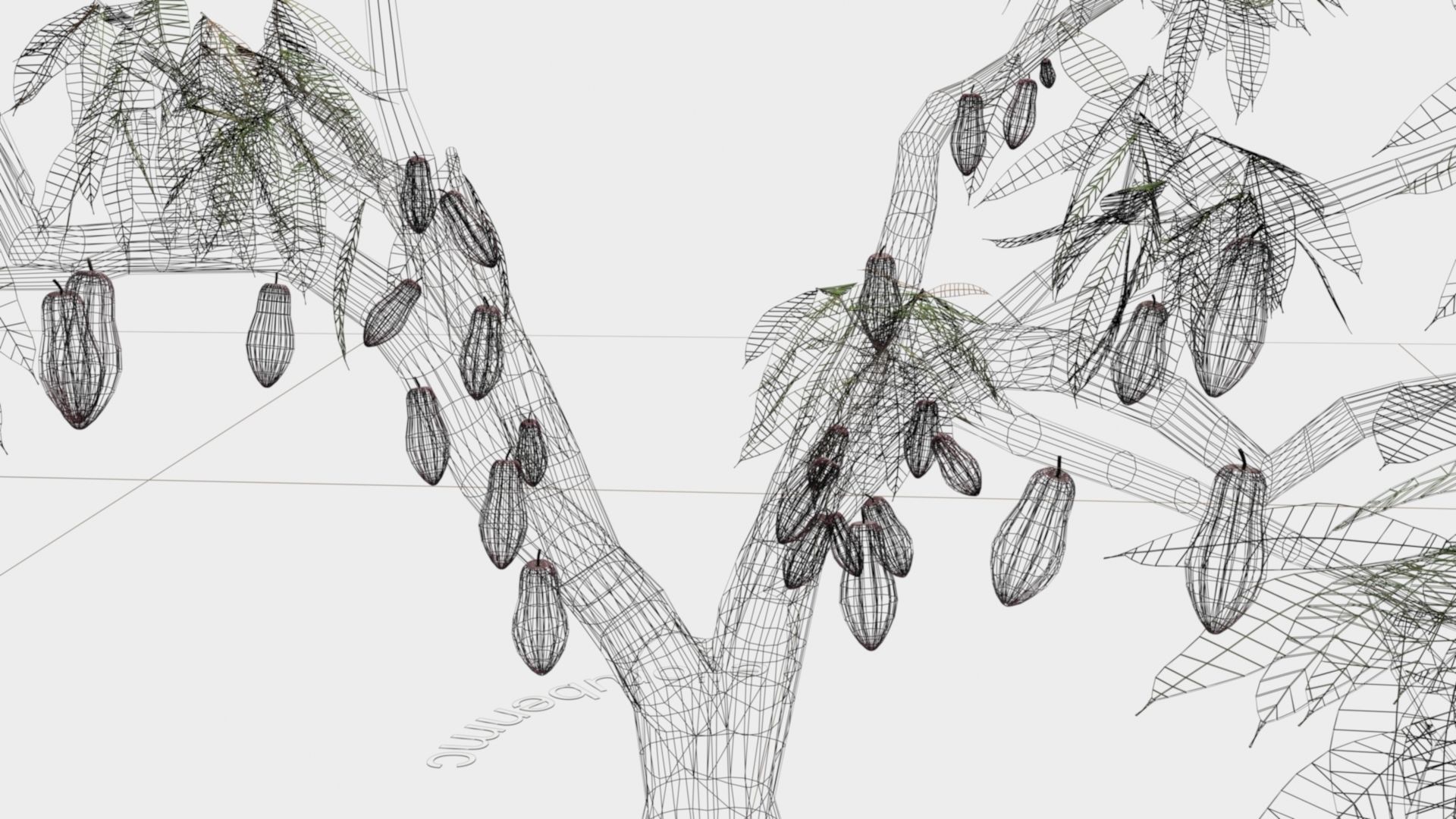 Cacao Tree type CCN51 with Fruit 3D model | CGTrader