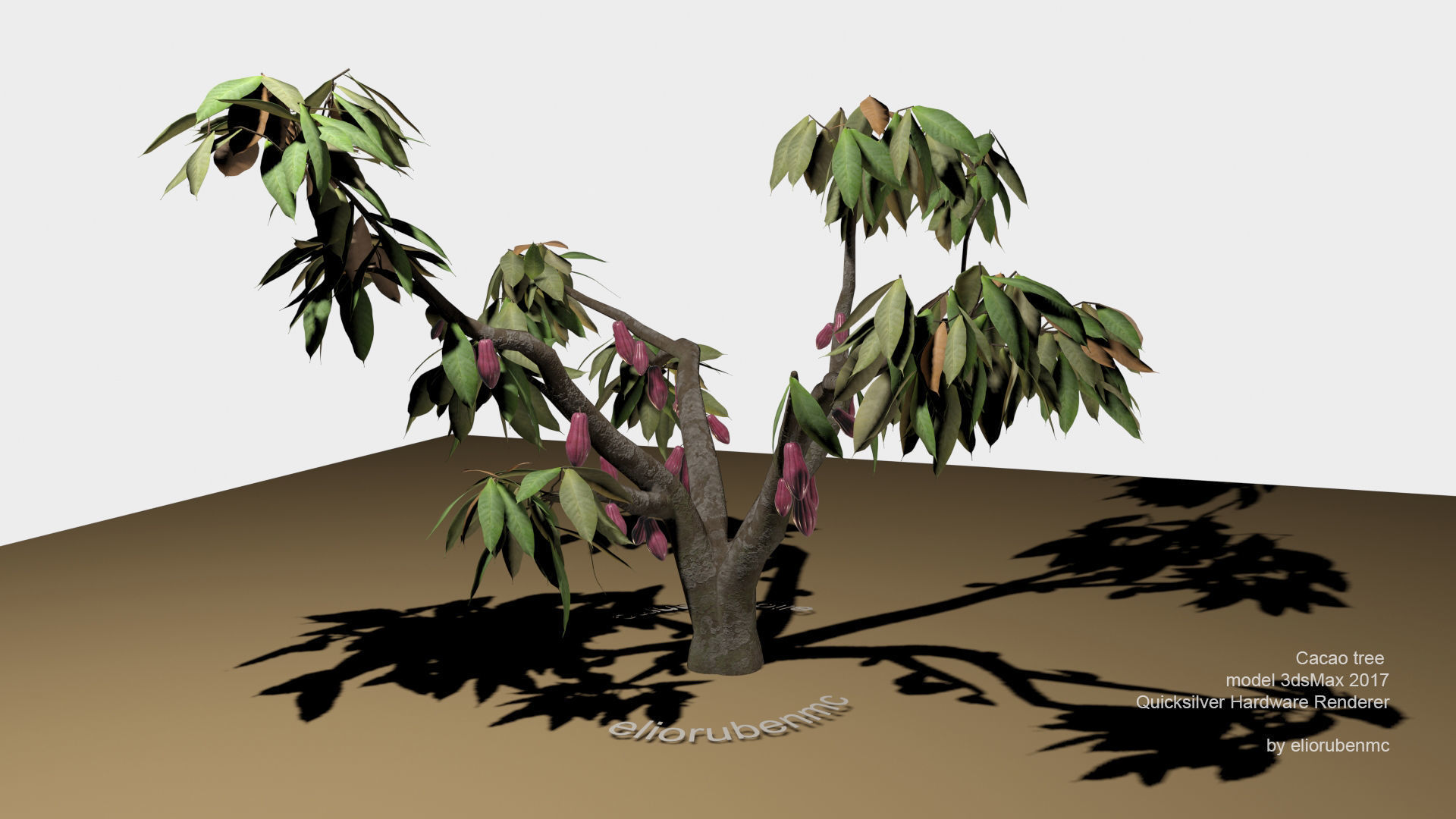 Cacao Tree type CCN51 with Fruit 3D model | CGTrader