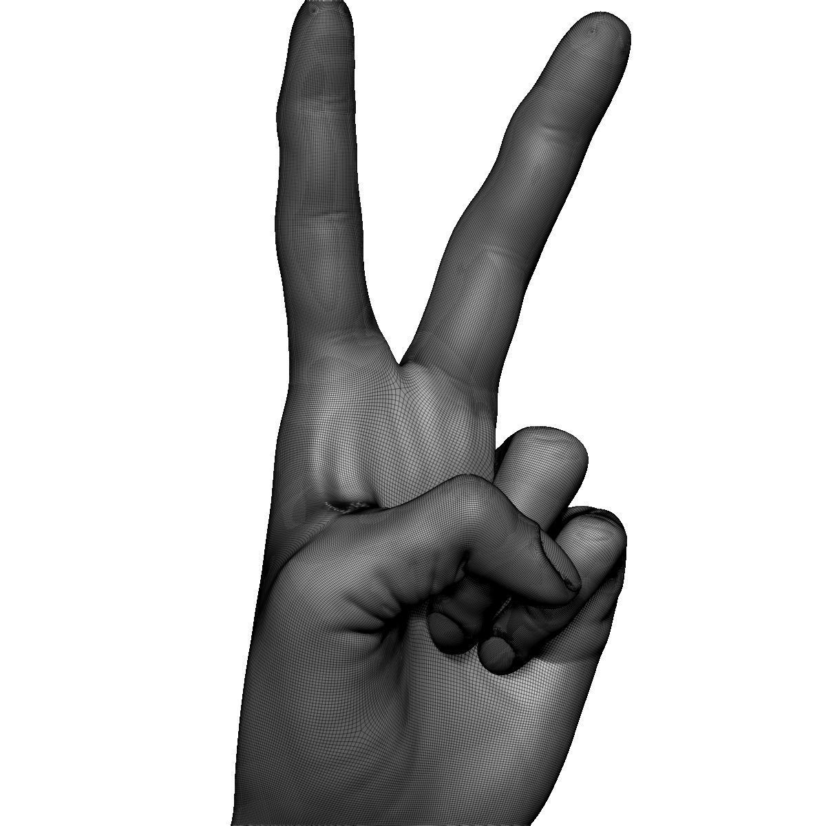 Victory sign hand male - 3D printable model 3D model 3D printable ...