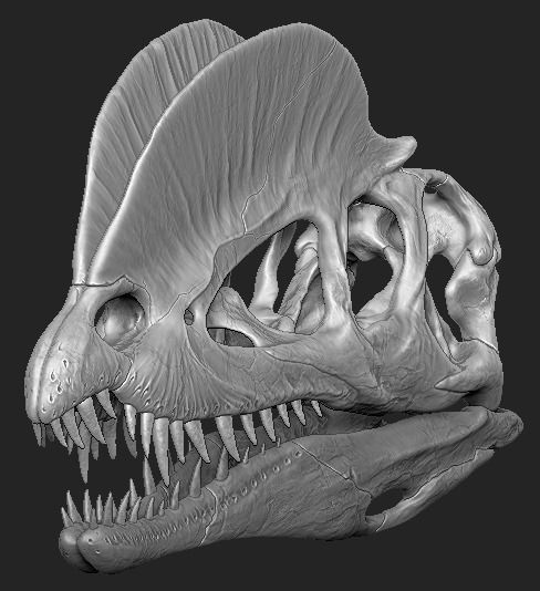 Dilophosaurus Skull 3D model 3D printable | CGTrader