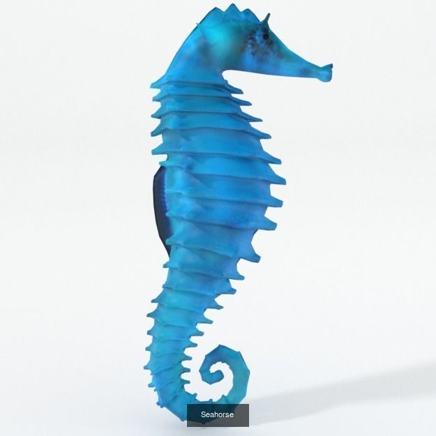 50 Low Poly Ocean Life Super Pack 3D Model Collection | CGTrader