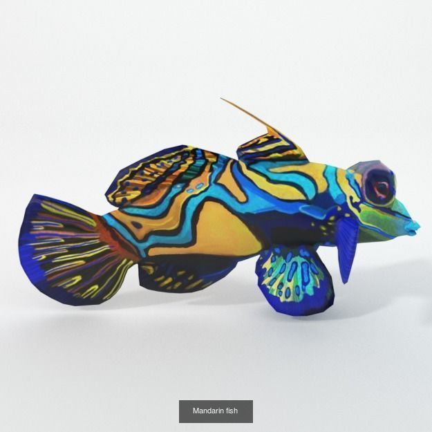 50 Low Poly Ocean Life Super Pack 3D Model Collection | CGTrader