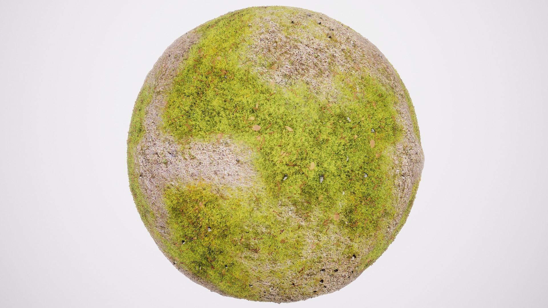 Ultimate Texture Library 3D Model Collection | CGTrader