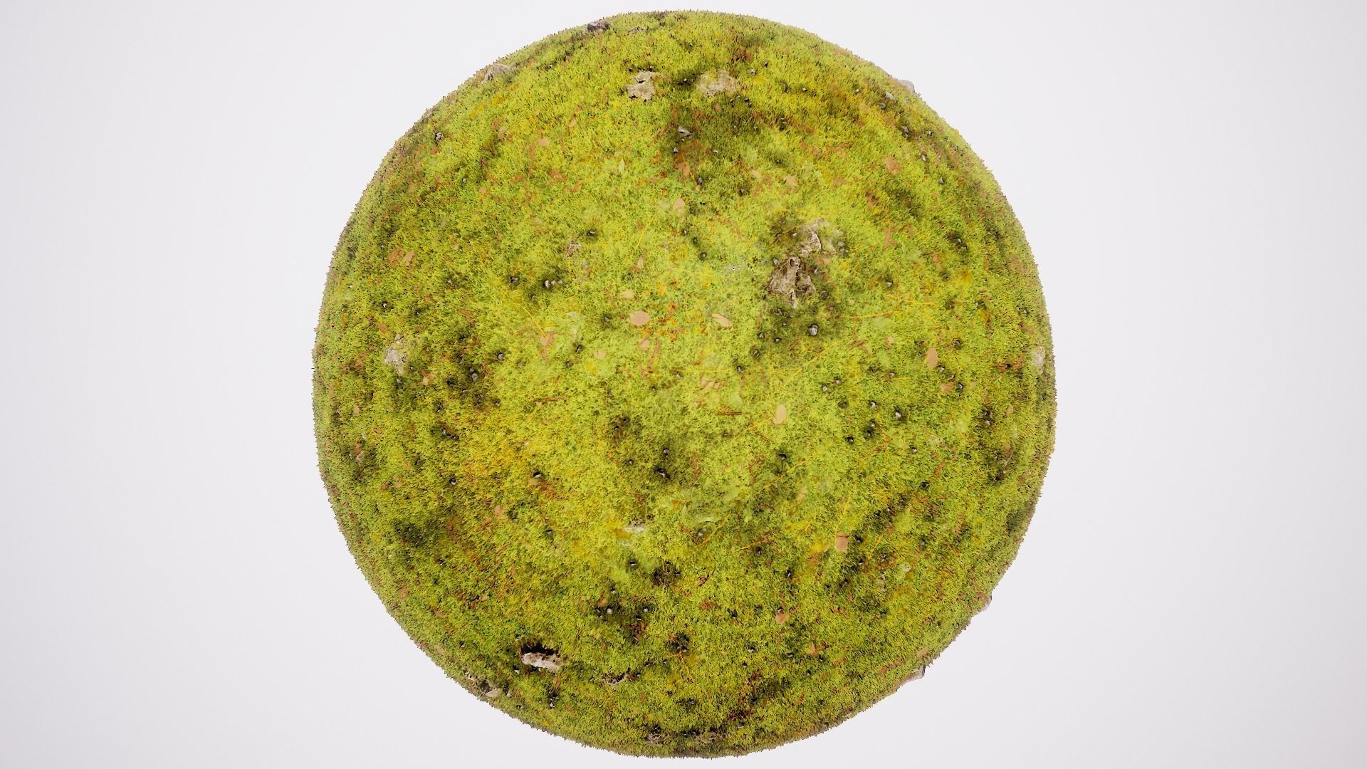 Ultimate Texture Library 3D Model Collection | CGTrader