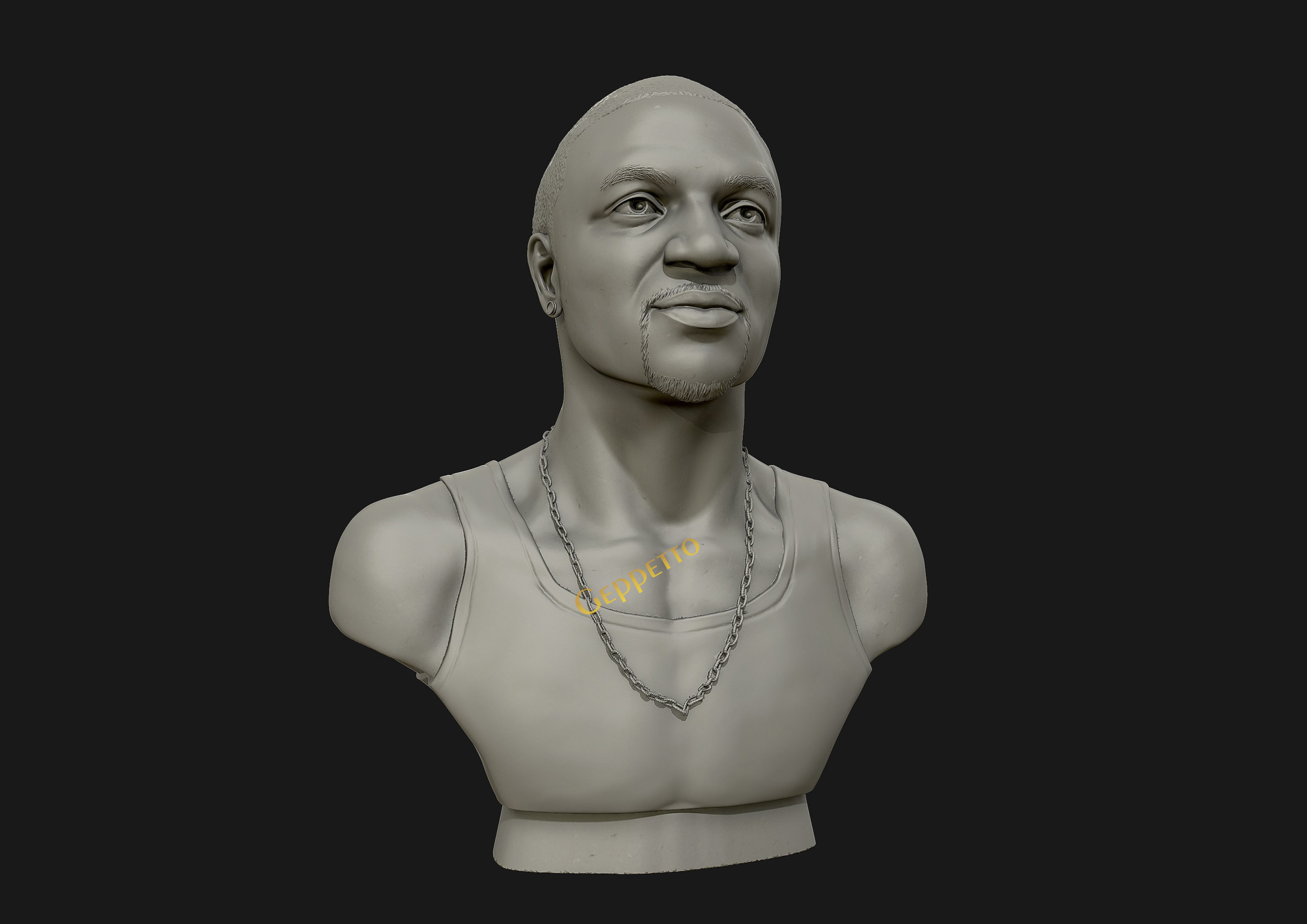 Akon 3D Bust Sculpture 3D model 3D printable | CGTrader