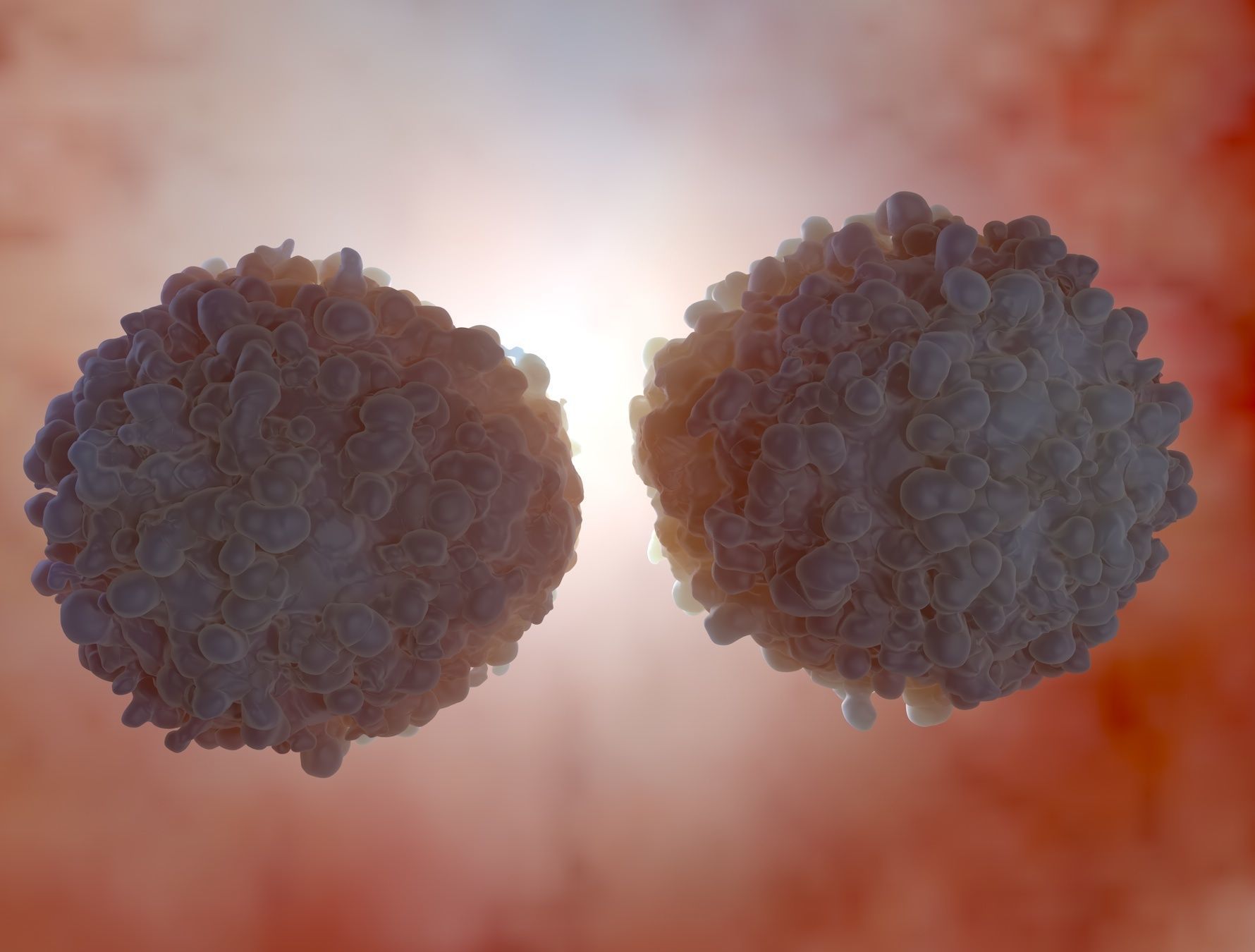 cancer cell division 3D model | CGTrader