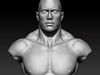 Dwayne The Rock Johnson ztl stl 3D print model 3D model | CGTrader