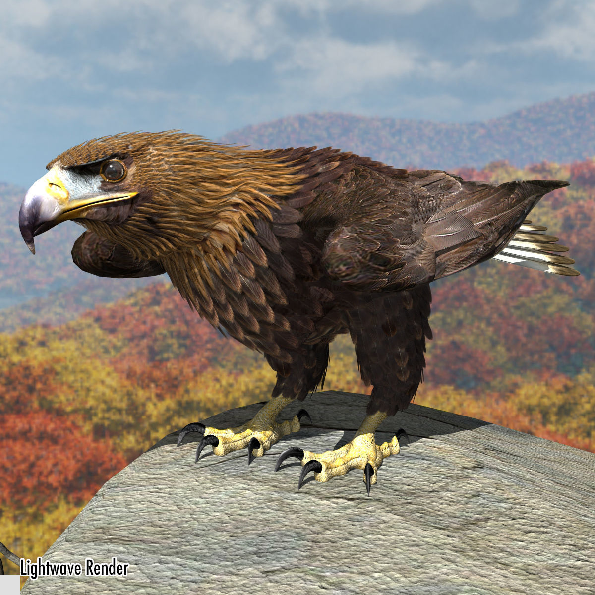 Golden Eagle - rigged - animated standard PBR VRAY 3D model animated ...