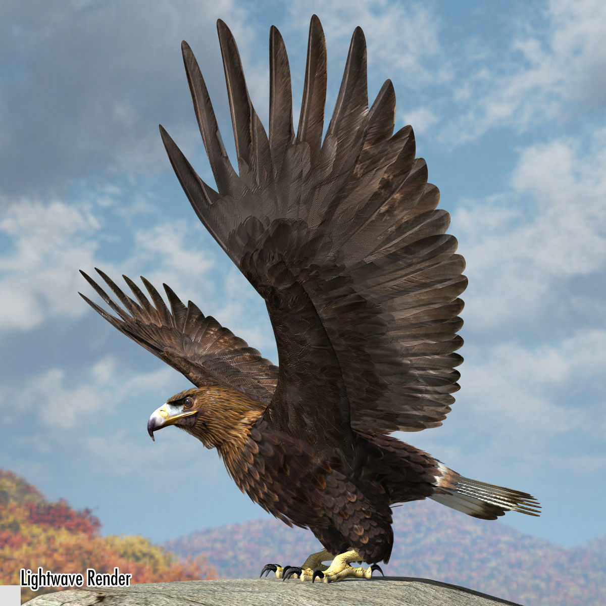 Golden Eagle - rigged - animated standard PBR VRAY 3D model animated ...