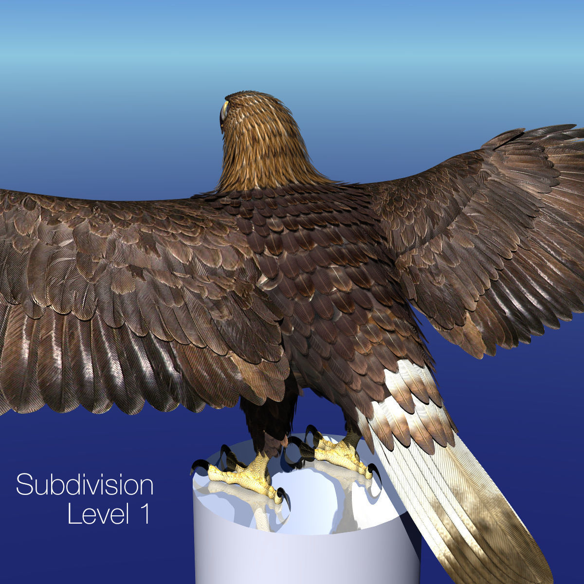 Golden Eagle - rigged - animated standard PBR VRAY 3D model animated ...
