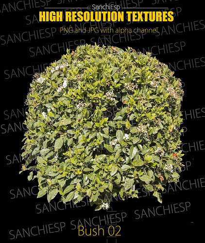 Bush 02 free Texture | CGTrader