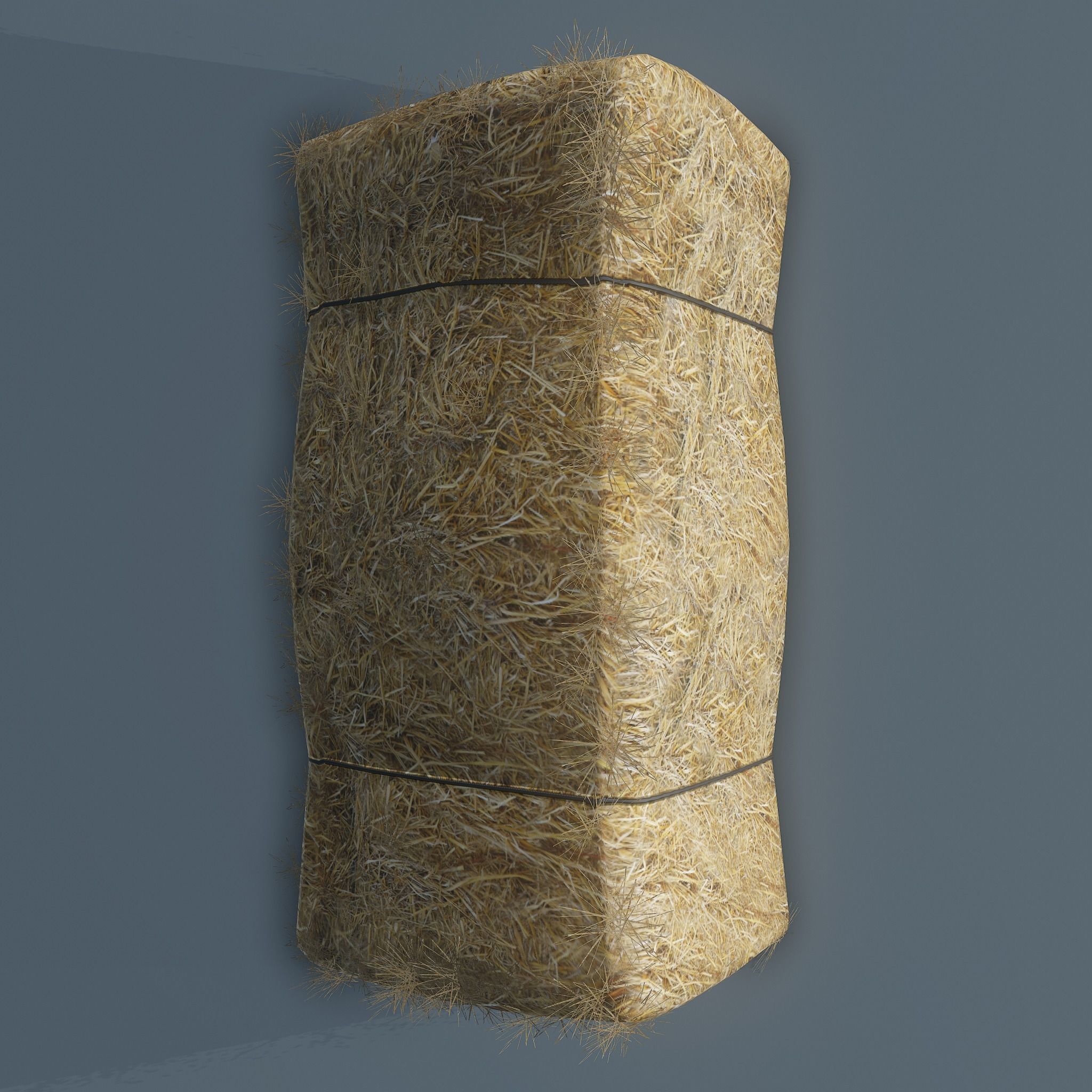 3D model Hay Bale VR / AR / low-poly | CGTrader
