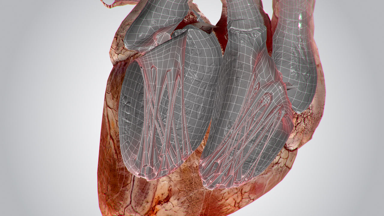 3D model Heart Grungy Rigged Animated PBR VR / AR / low-poly rigged ...