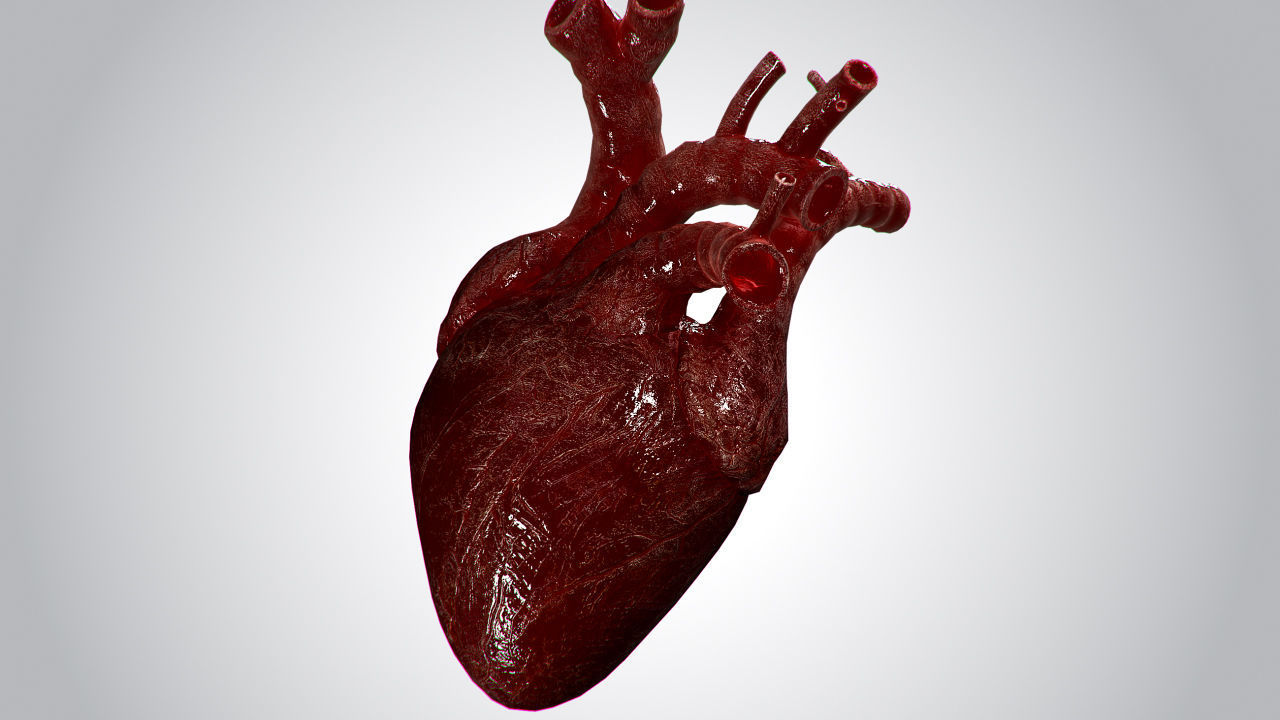 3D model Heart OverBlooded Rigged Animated PBR VR / AR / low-poly ...