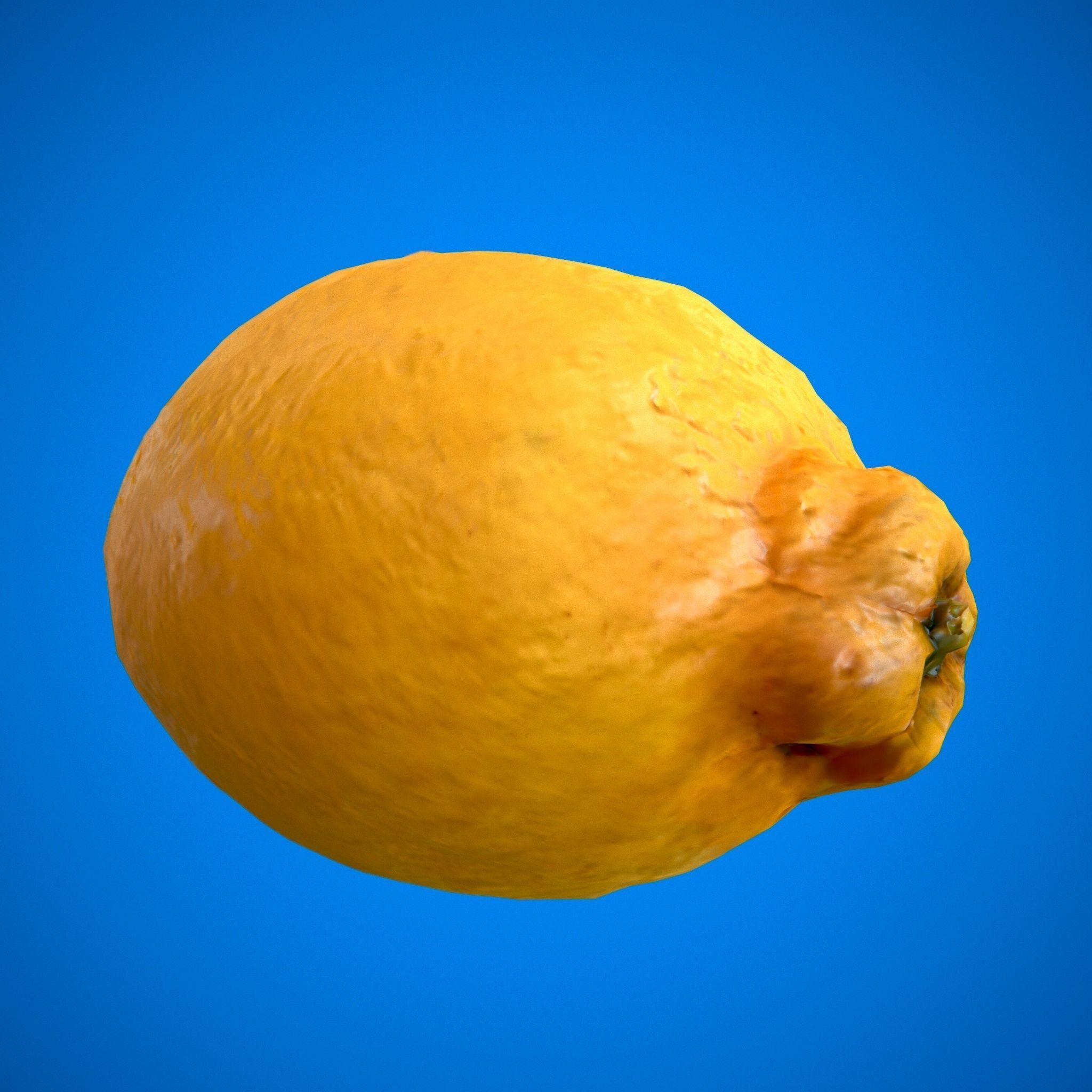 Lemon2 3D model | CGTrader