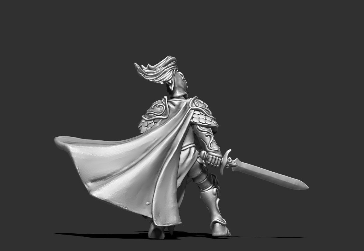 Paladin 35mm scale 3D model 3D printable | CGTrader