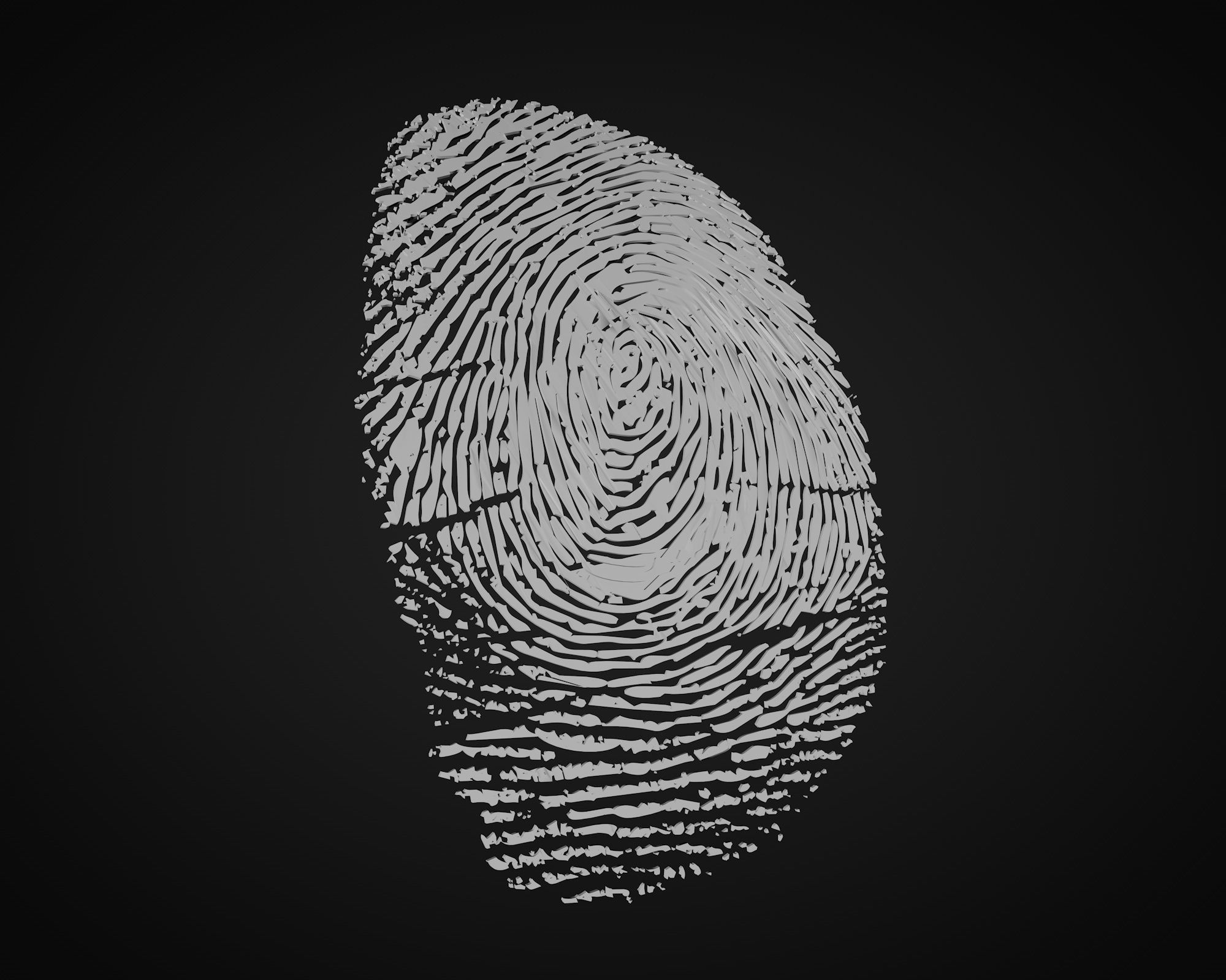 fingerprint 3D model | CGTrader