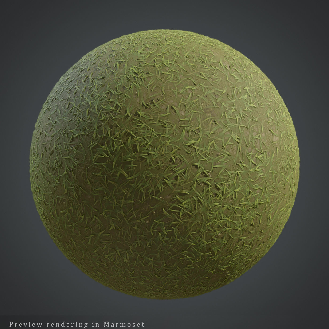 Stylized Grass PBR texture free Texture | CGTrader
