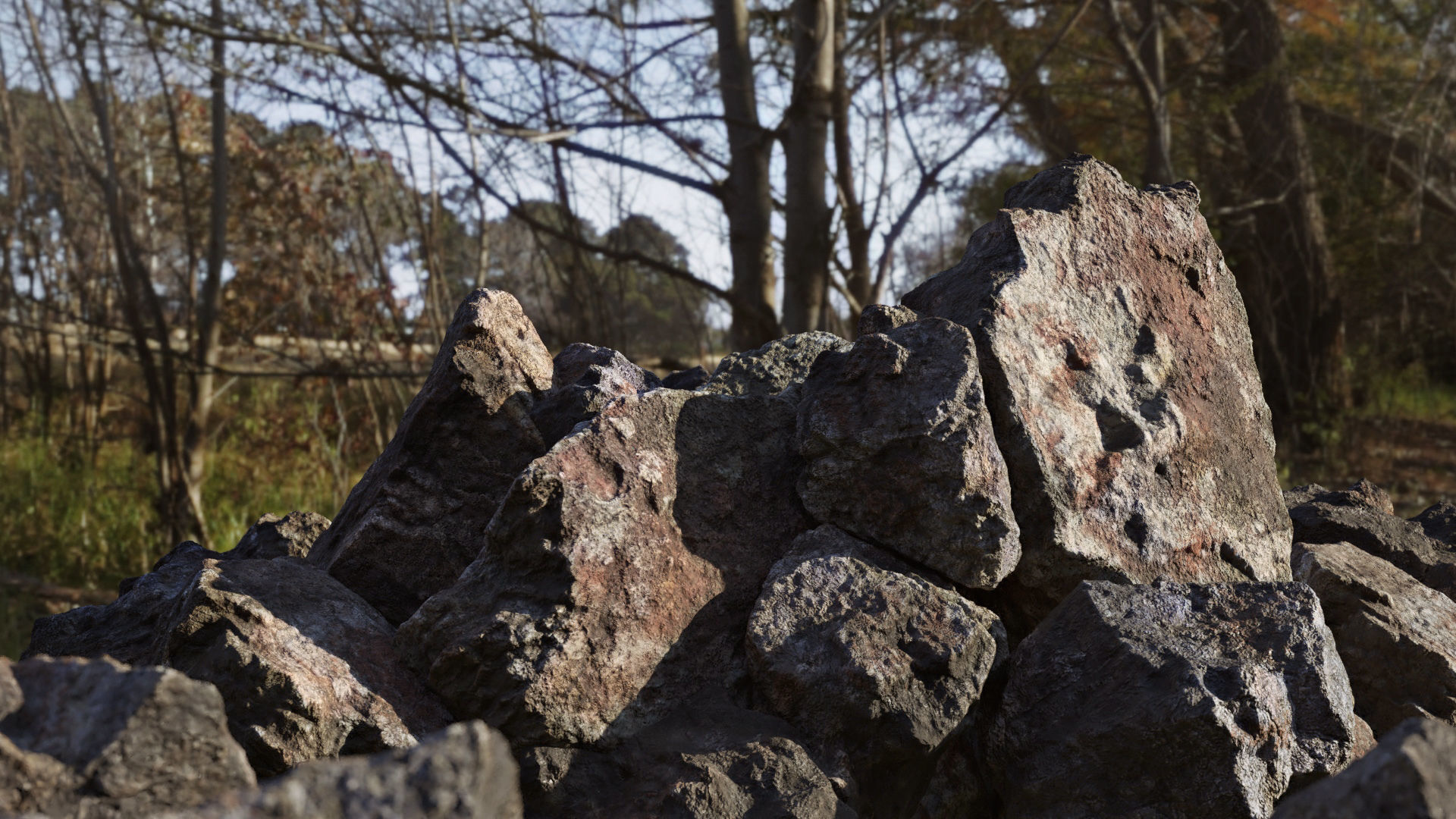 3D model Moss 7 Species and Stones - PBR Asset Kit VR / AR / low-poly ...