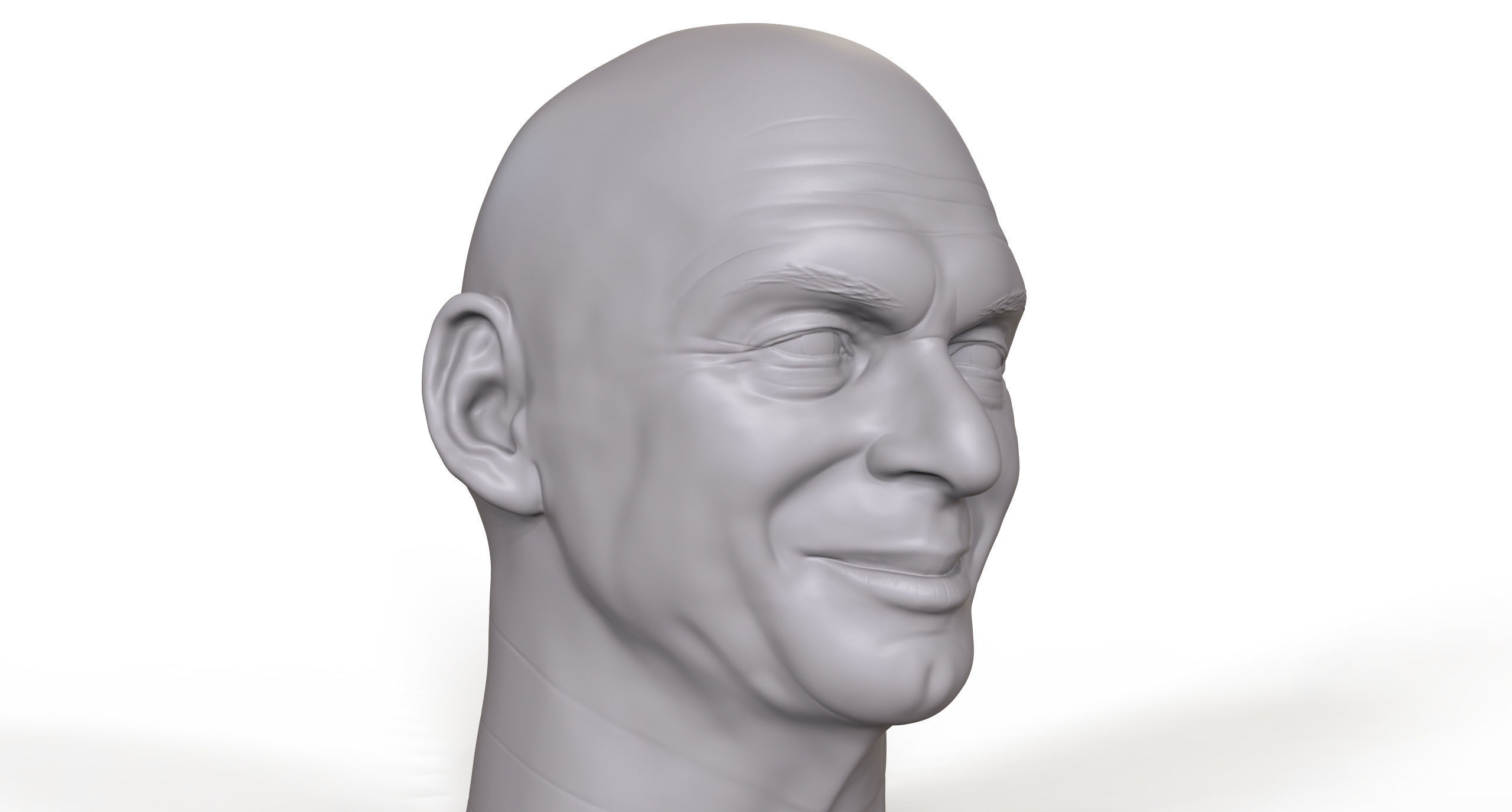 MCMoney 3D printable portrait sculpture 3D model 3D printable | CGTrader