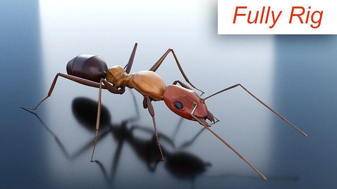 3D model Ant 3D Rig VR / AR / low-poly | CGTrader