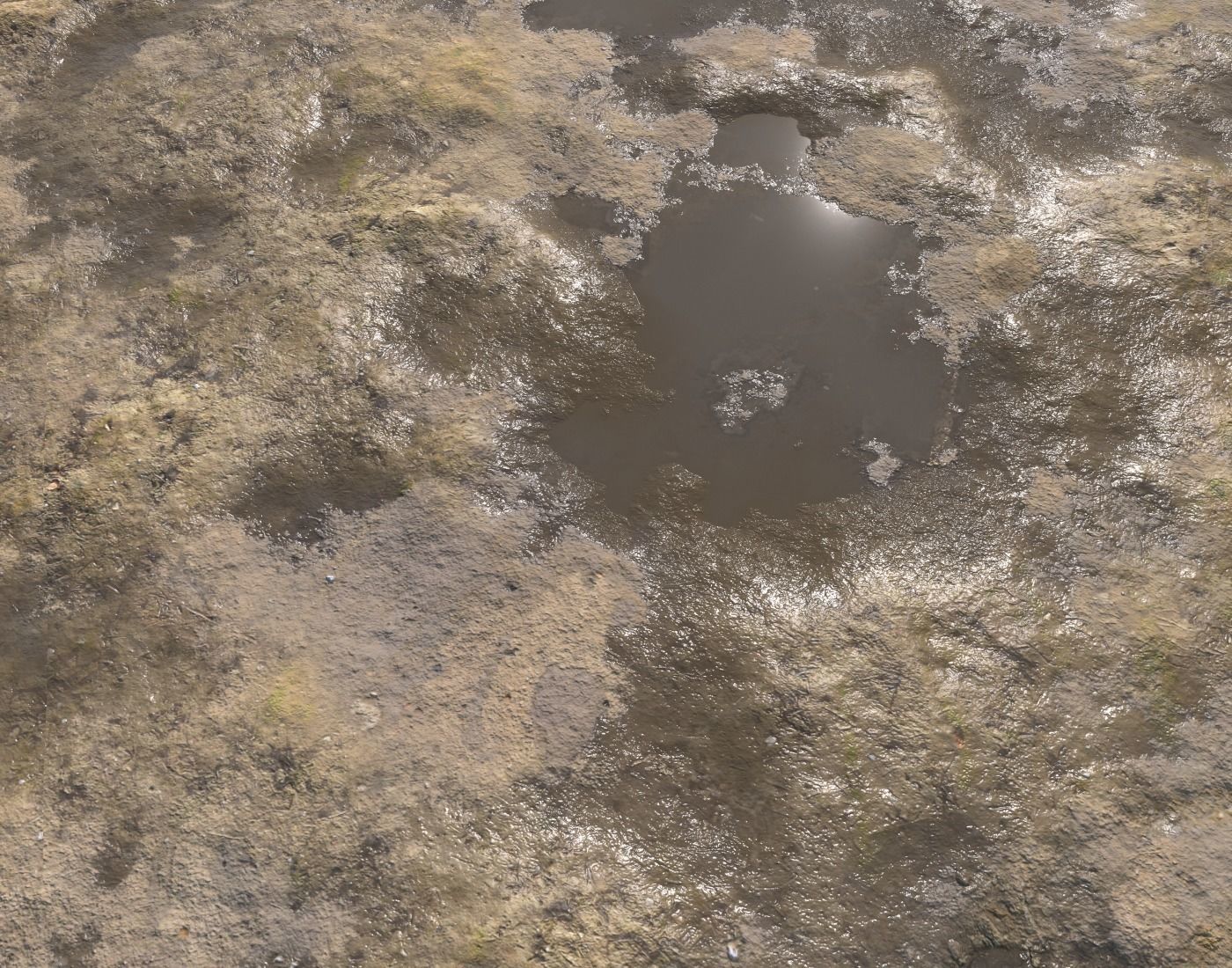 Muddy Soil 2 Seamless PBR Texture Texture | CGTrader