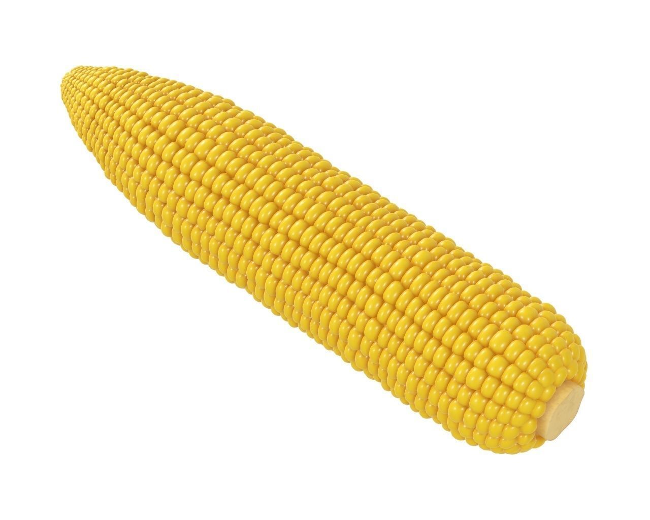 Corn on the cob 3D model | CGTrader