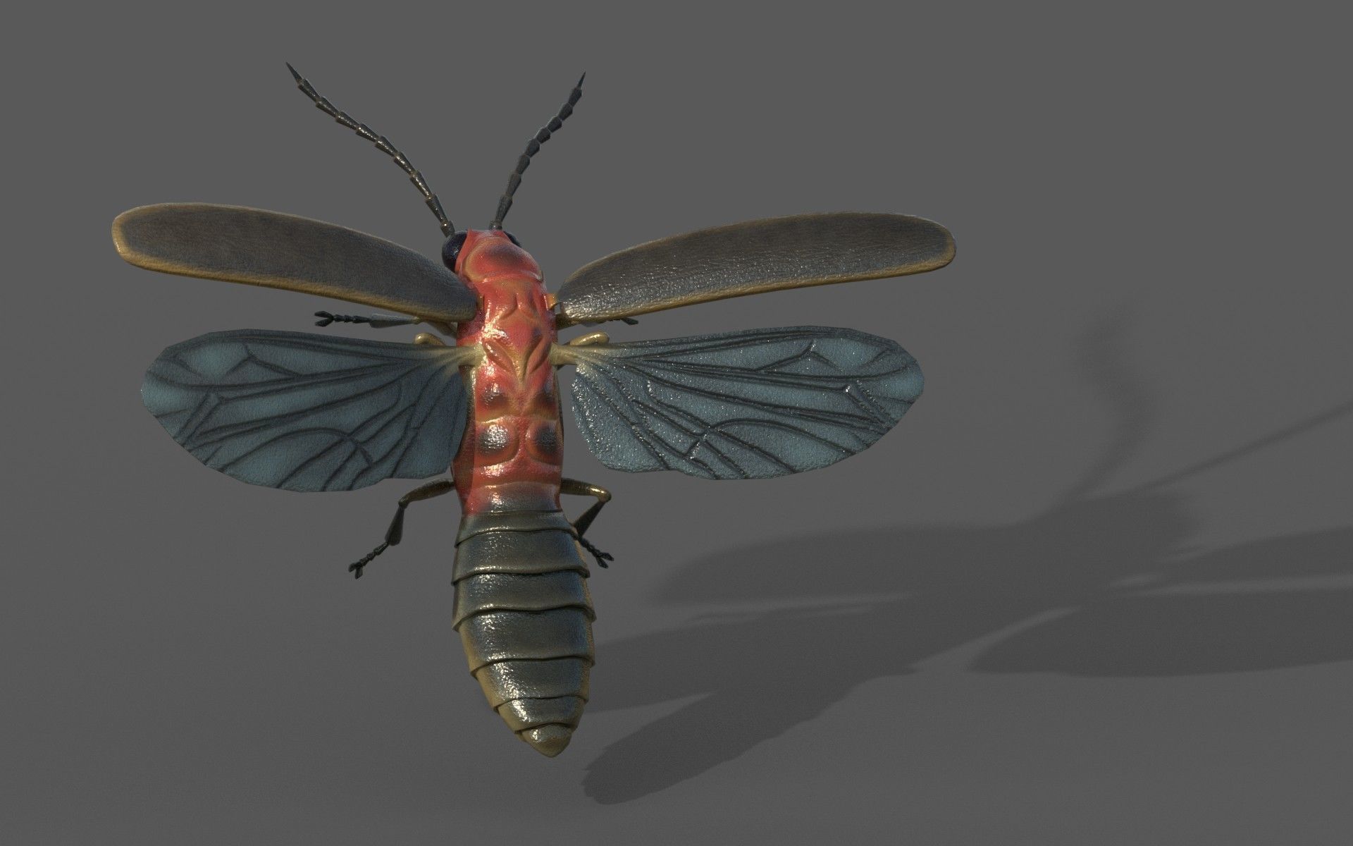 Firefly 3D model | CGTrader