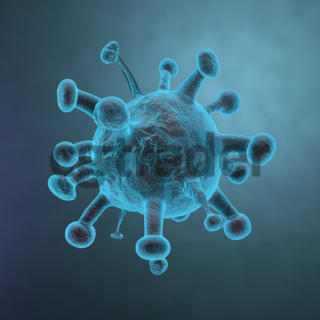Cell - Bacteria 3D model | CGTrader