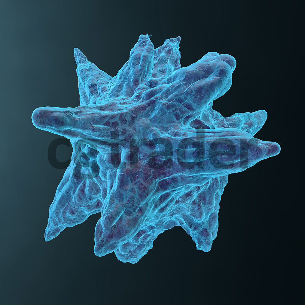 Cell - Bacteria 3D model | CGTrader