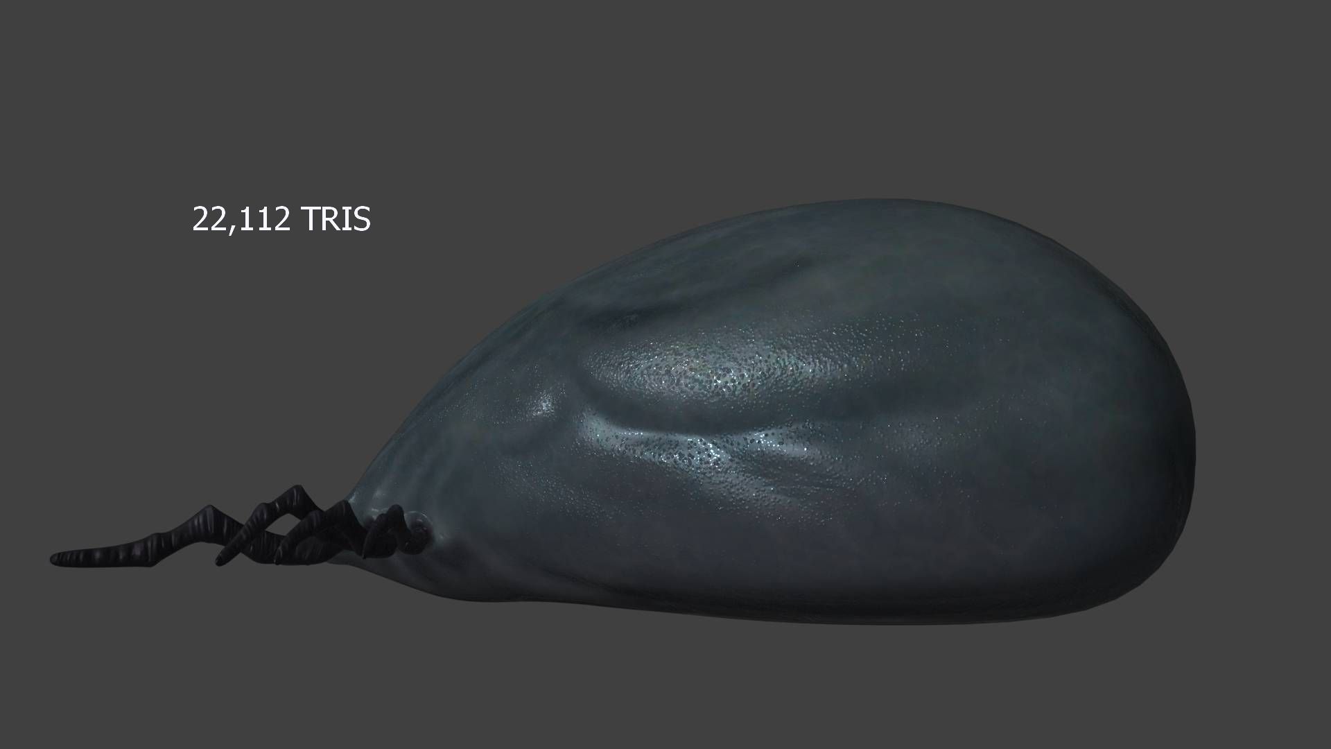 3D model well fed tick VR / AR / low-poly rigged | CGTrader