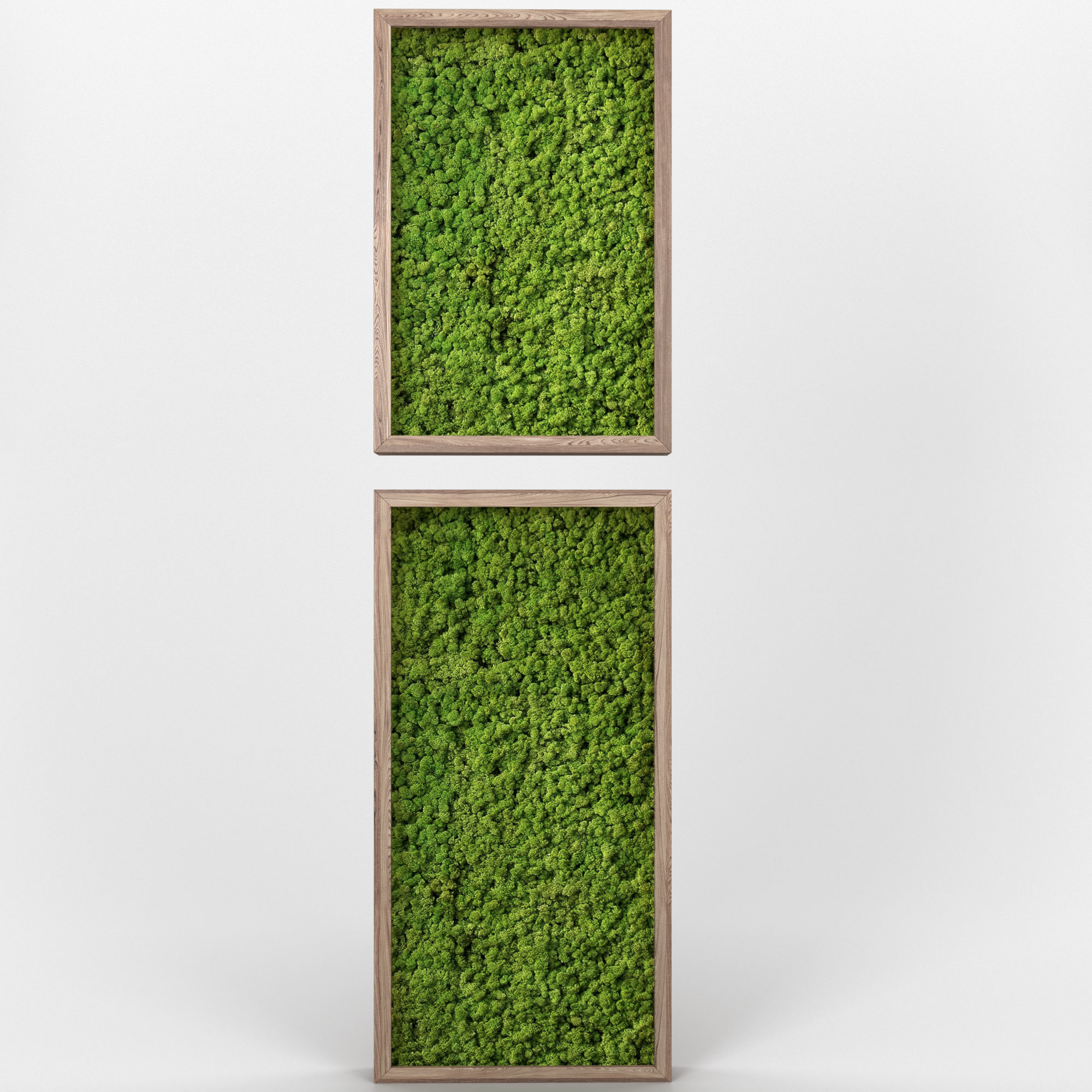 3D Model Moss wall 3D model | CGTrader