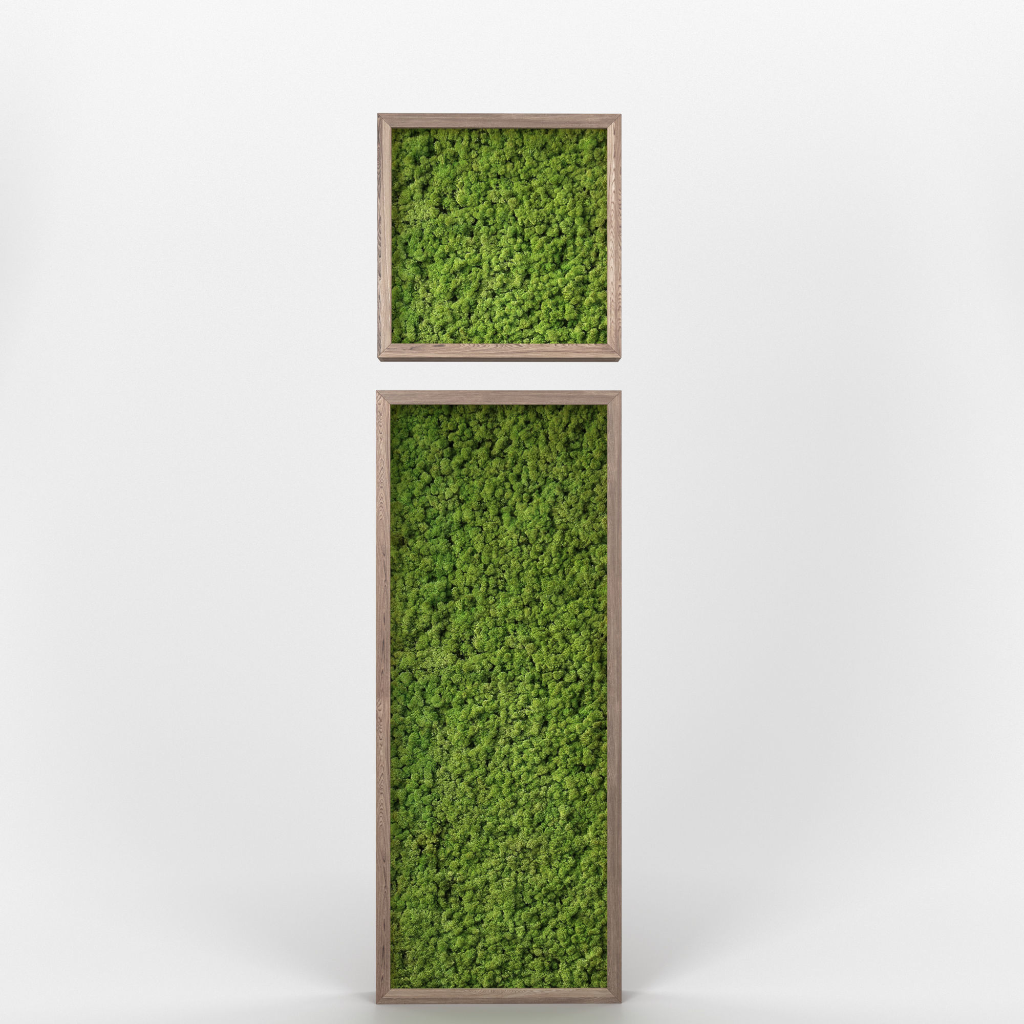 3D Model Moss wall 3D model | CGTrader