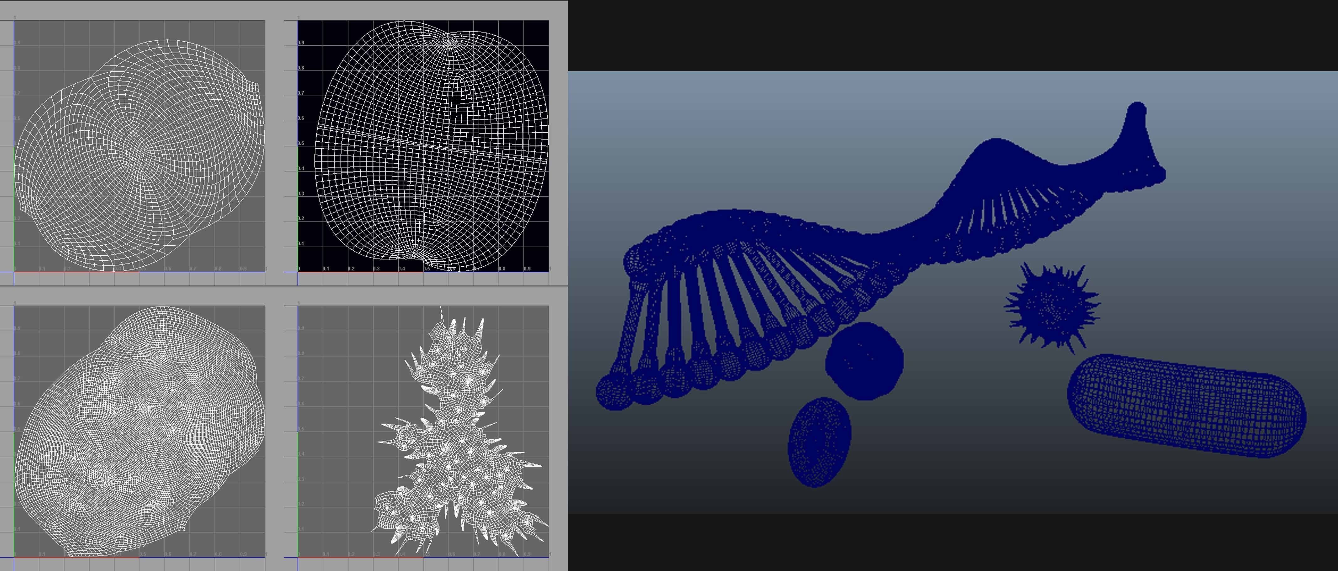 DNA Virus Blood Cell Bacteria Round Cell Microbiology Model 3D model ...