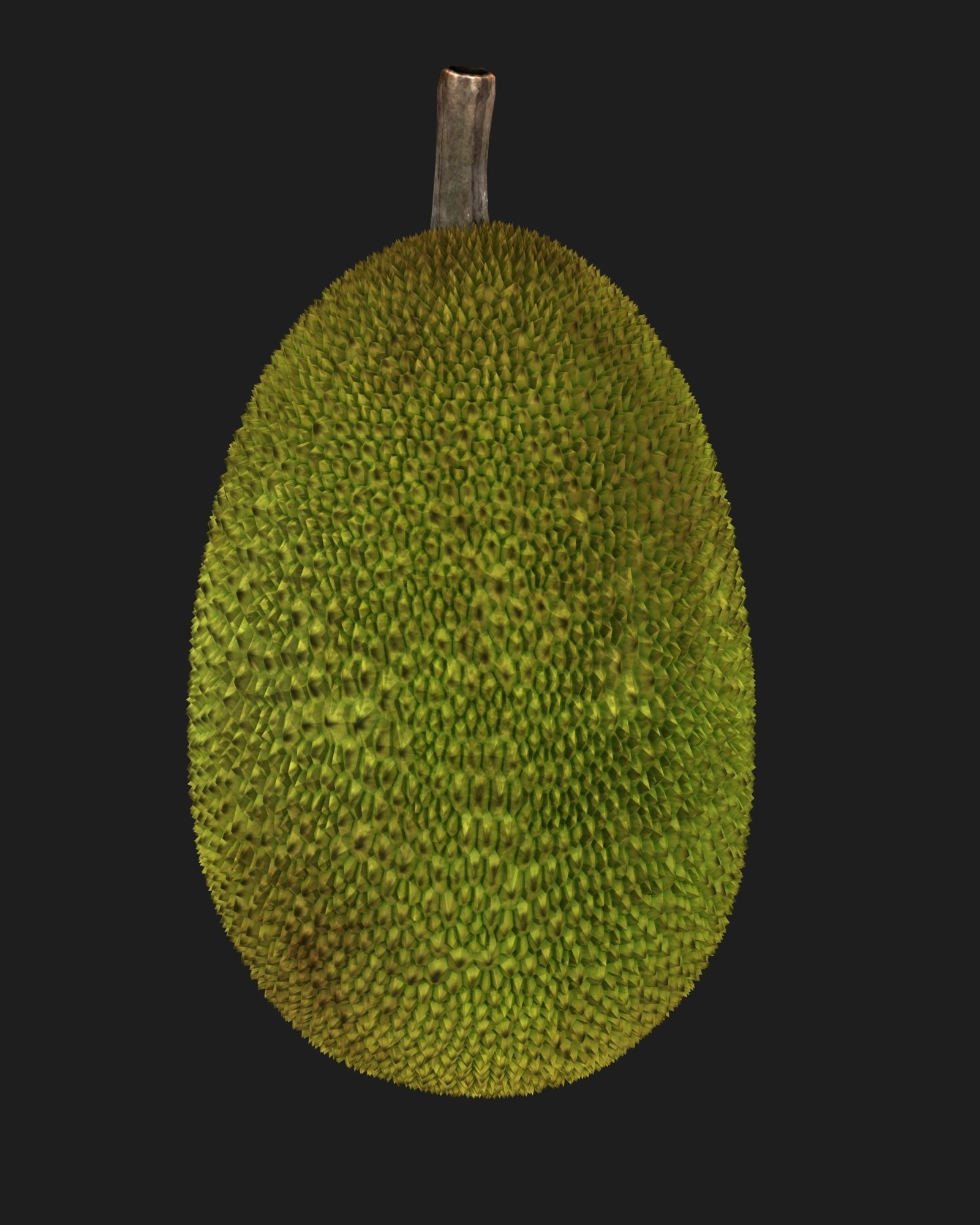 Jackfruit 3D model | CGTrader