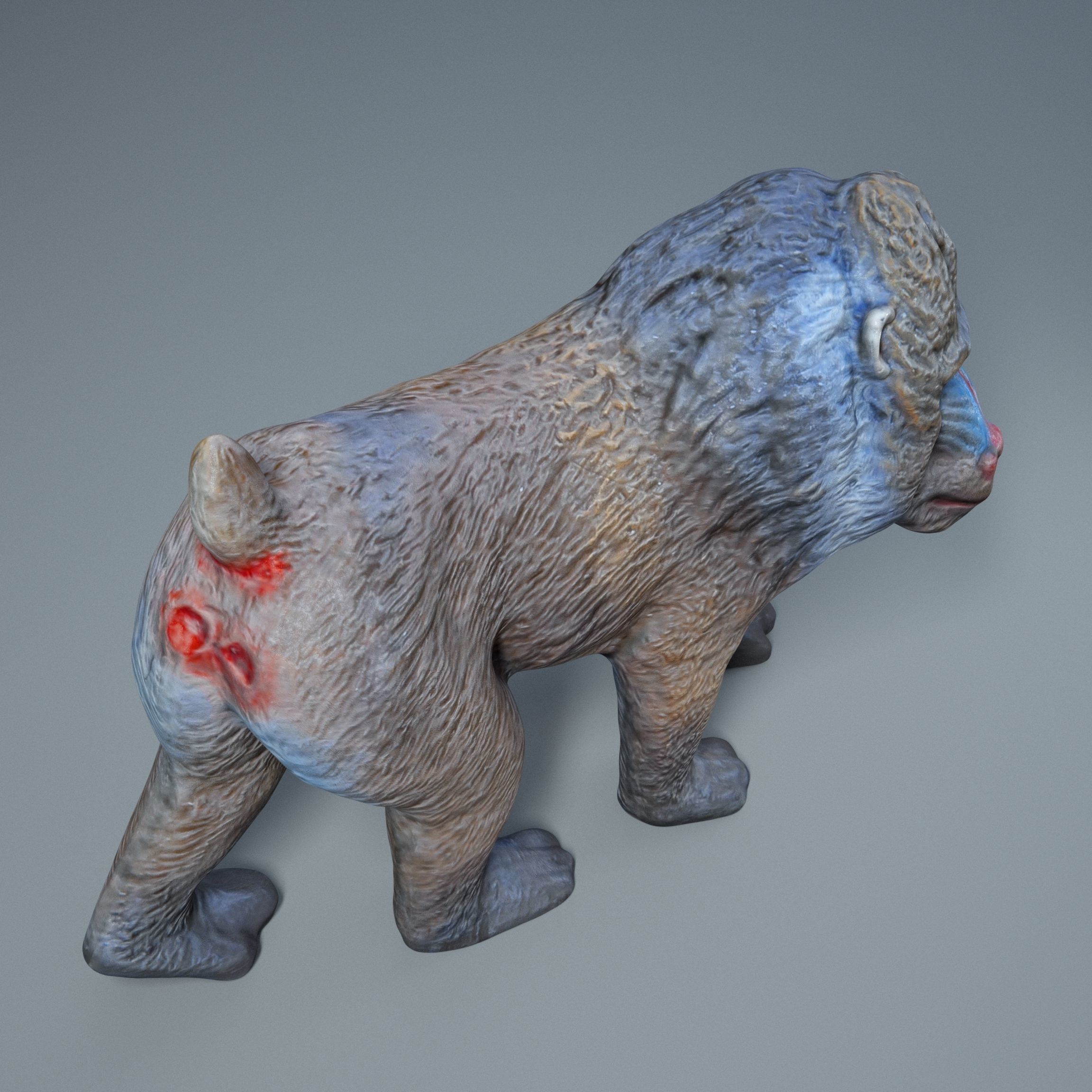 Mandrill baboon 3D model | CGTrader