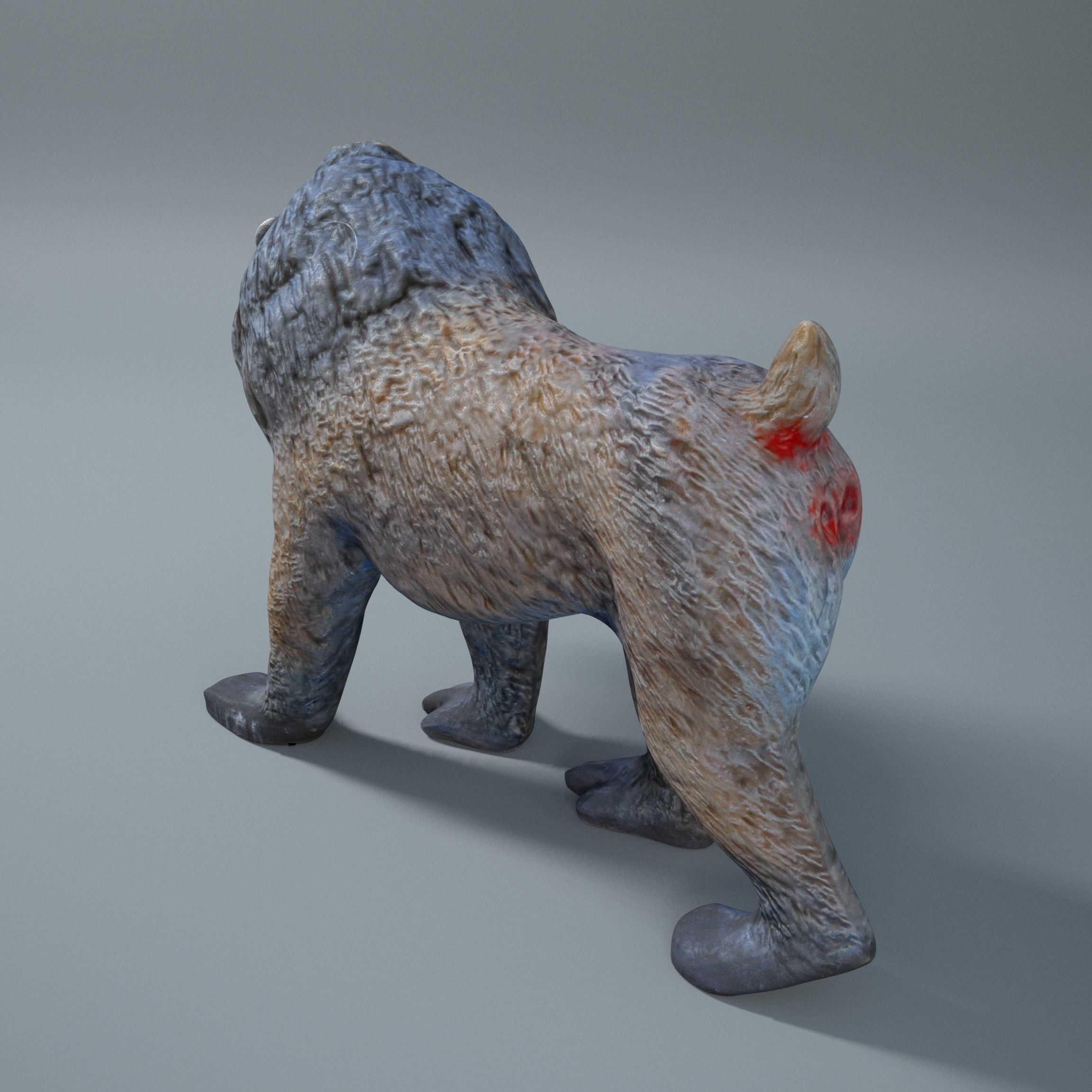 Mandrill baboon 3D model | CGTrader
