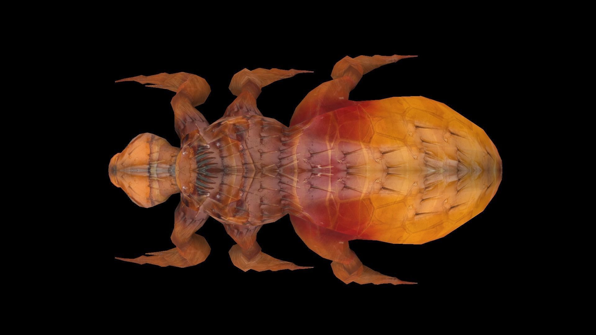 3D model Fleas Insect Tick Louse 3D model VR / AR / low-poly | CGTrader