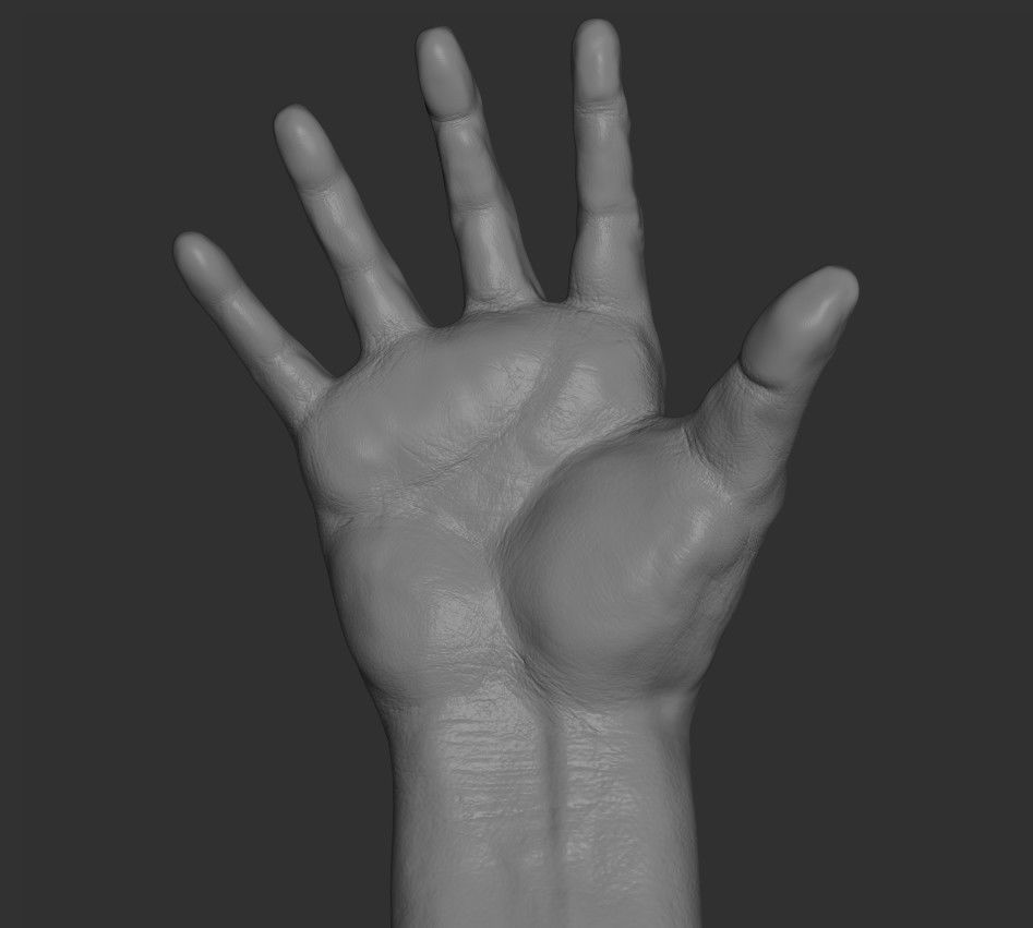 Hand detailed 3D model | CGTrader