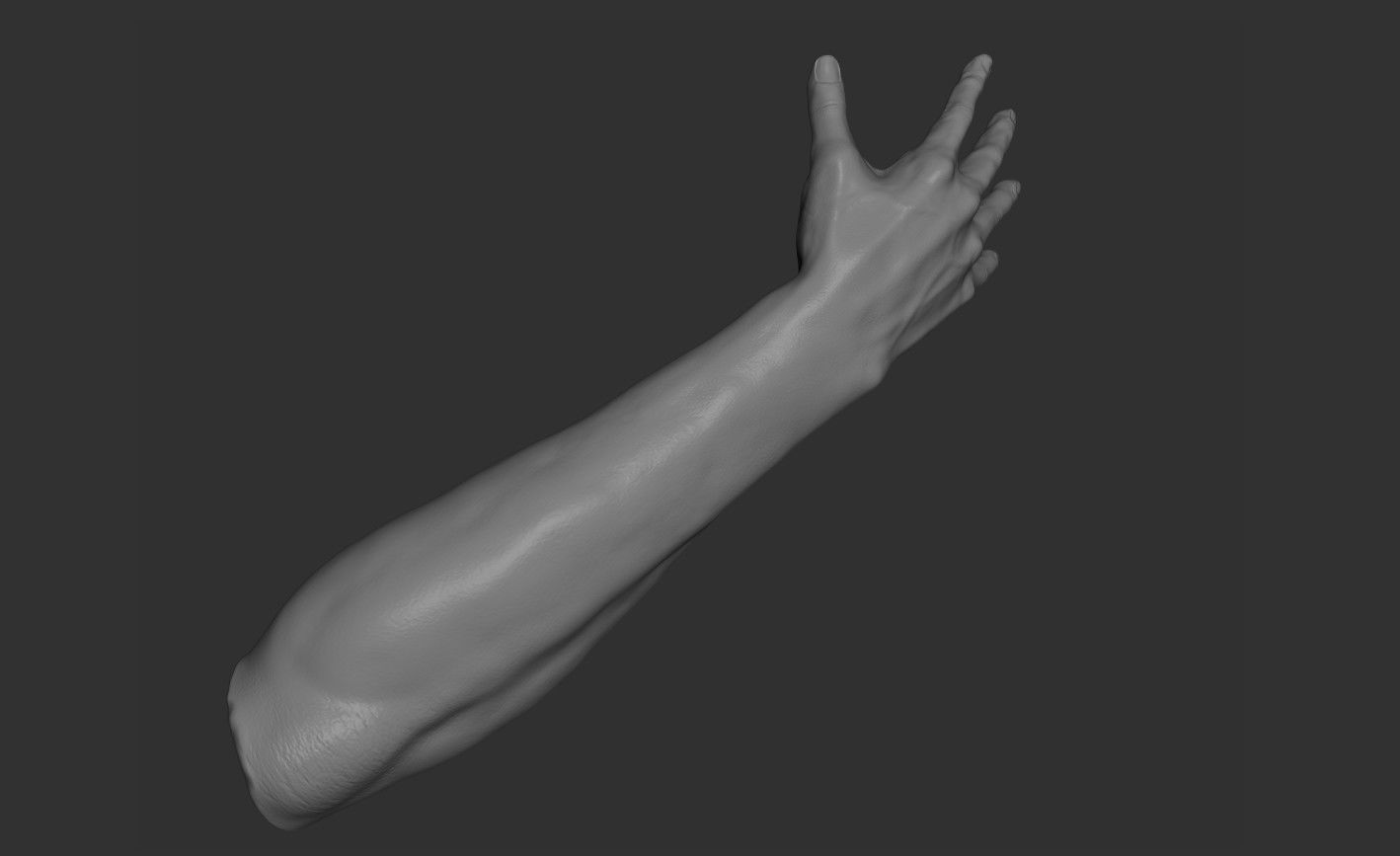 Hand detailed 3D model | CGTrader