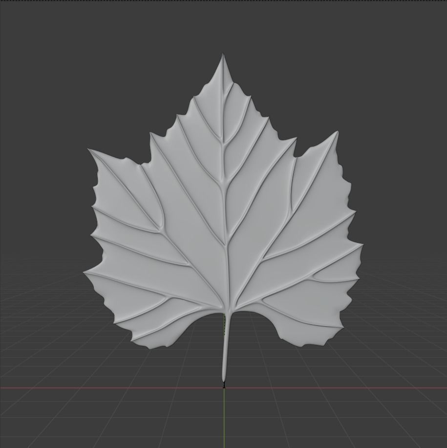 Grape leaf 3D model rigged | CGTrader