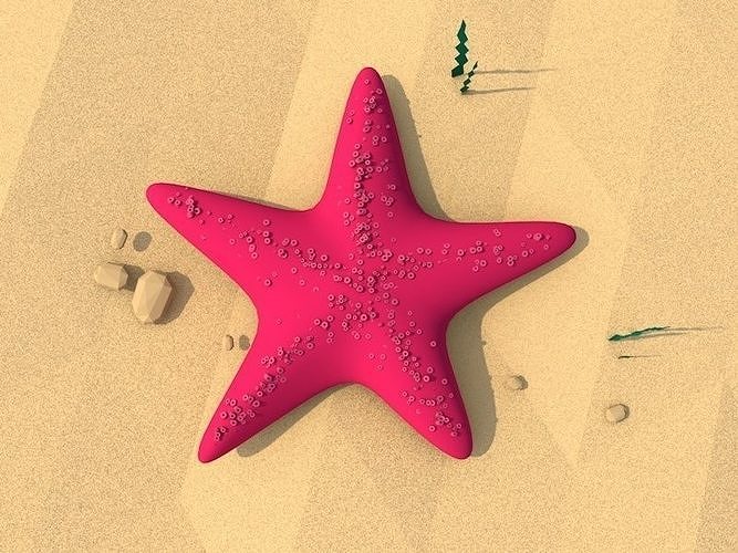 Cartoon Low Poly Starfish Illustration free VR / AR / low-poly 3D model ...
