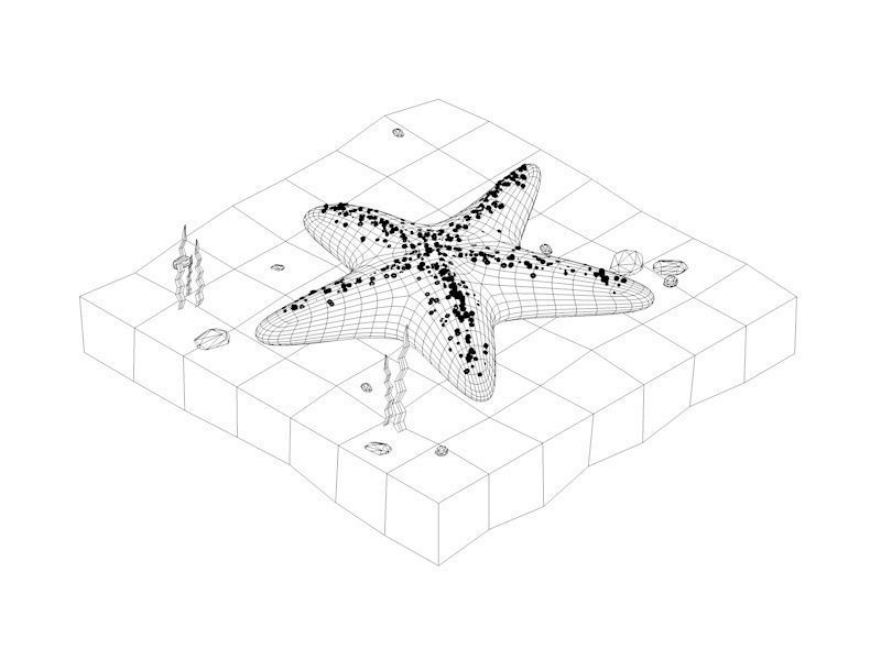 Cartoon Low Poly Starfish Illustration free VR / AR / low-poly 3D model ...
