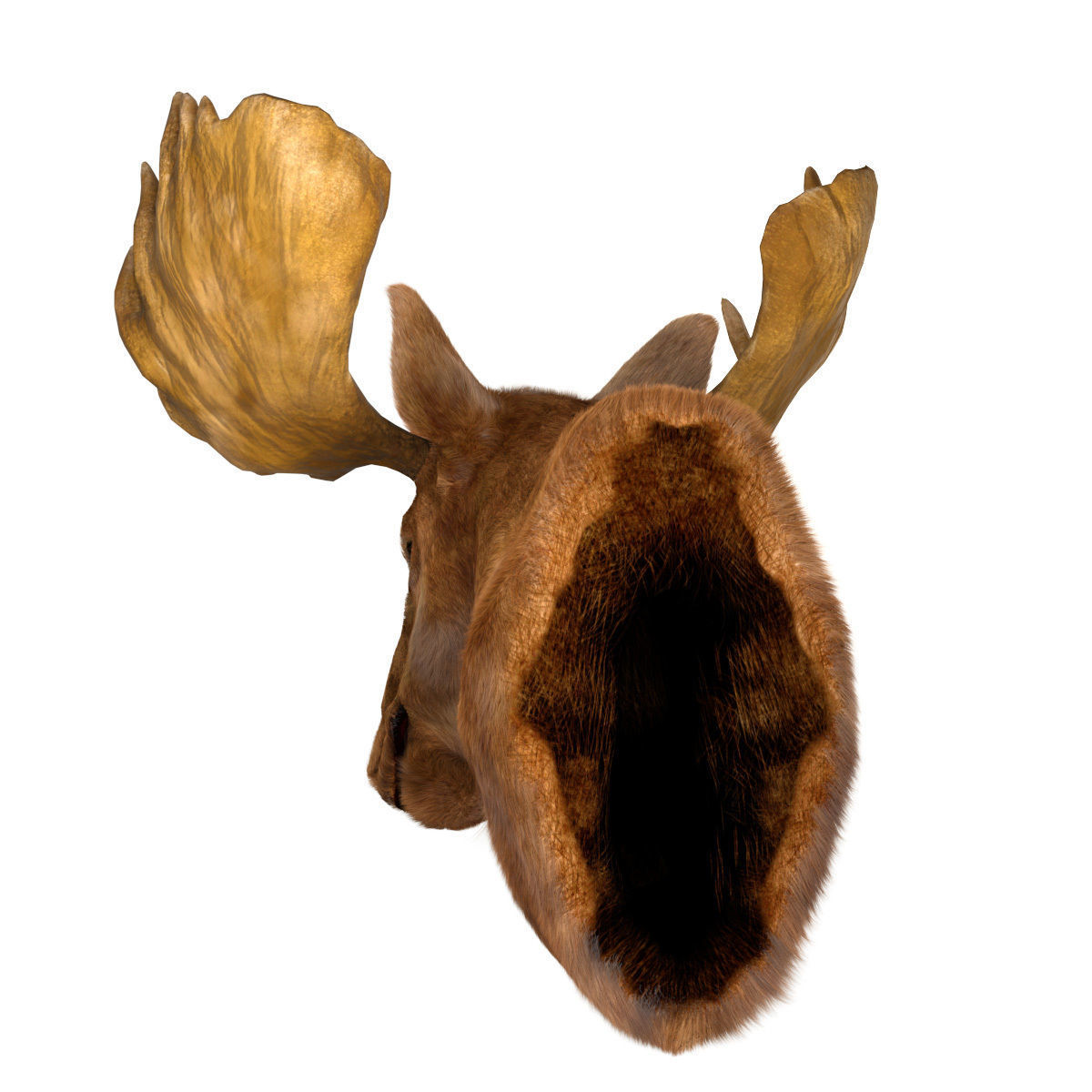 Elk Head 3D model | CGTrader