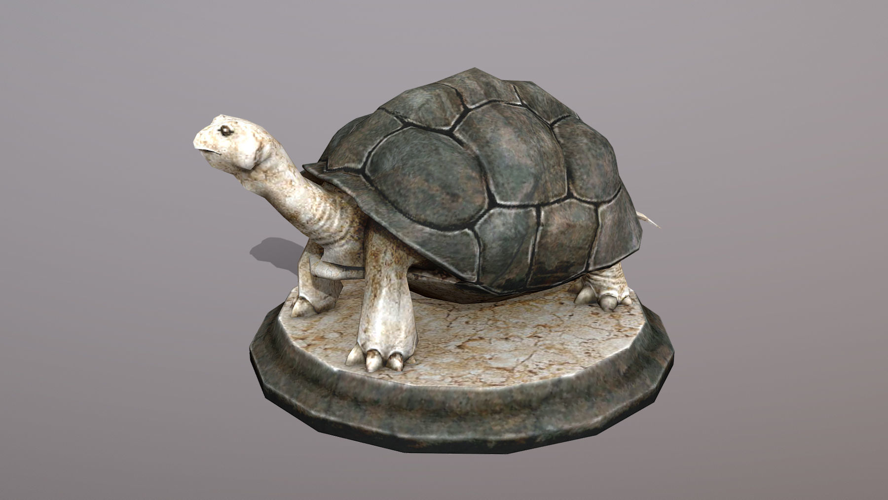 3D Model Collection statues turtle unicorn VR / AR / low-poly | CGTrader