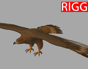 Eagle 3D Models | CGTrader