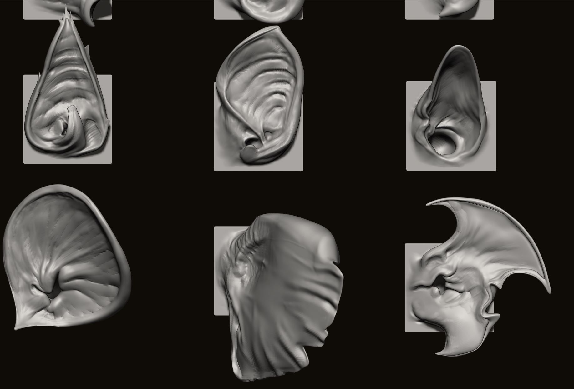 EARS - 40 ZBRUSH VDMs 3D model | CGTrader